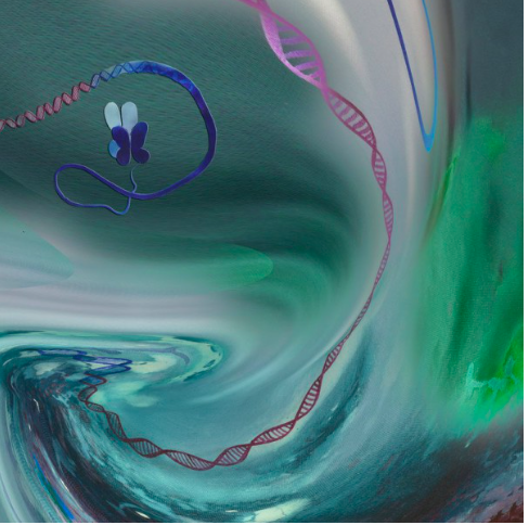 Medical Art- Visualising Art in Science | Yenepoya Education News Portal